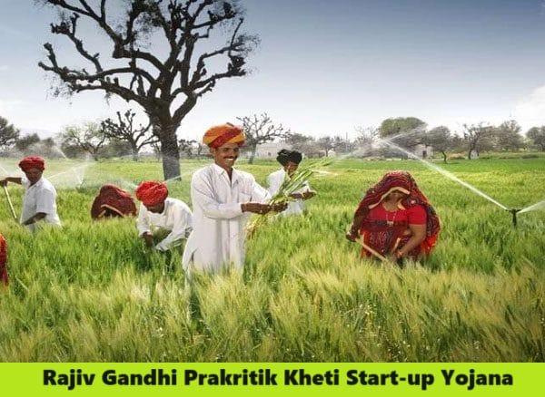 एचपी राजीव गांधी प्राकृतिक खेती स्टार्ट-अप योजना 2025